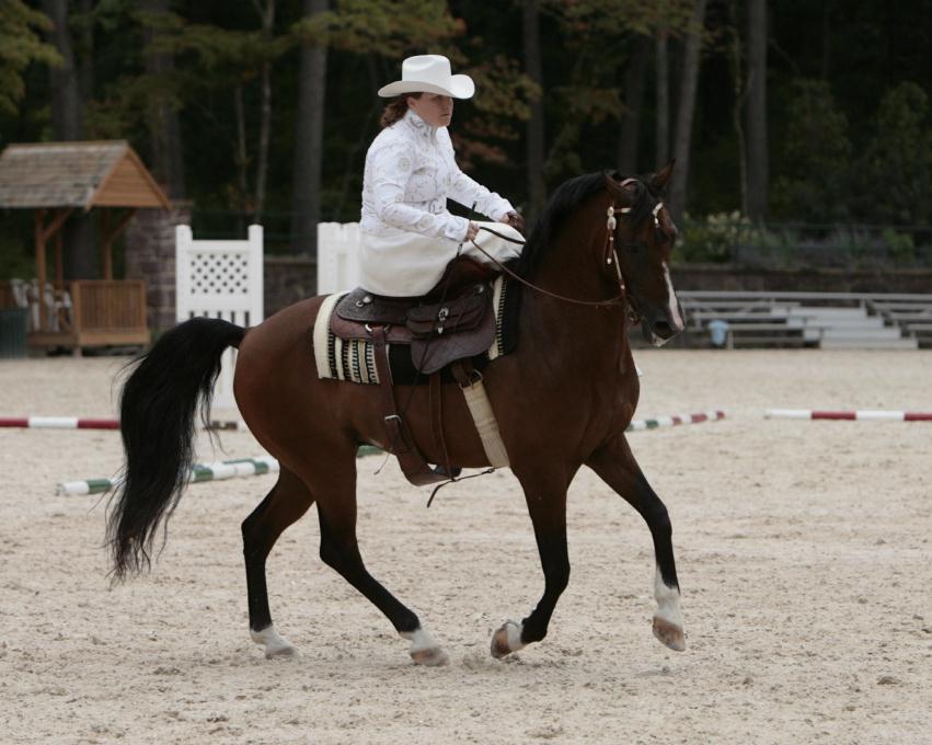 Sidesaddle Quest: Owen, Dressage