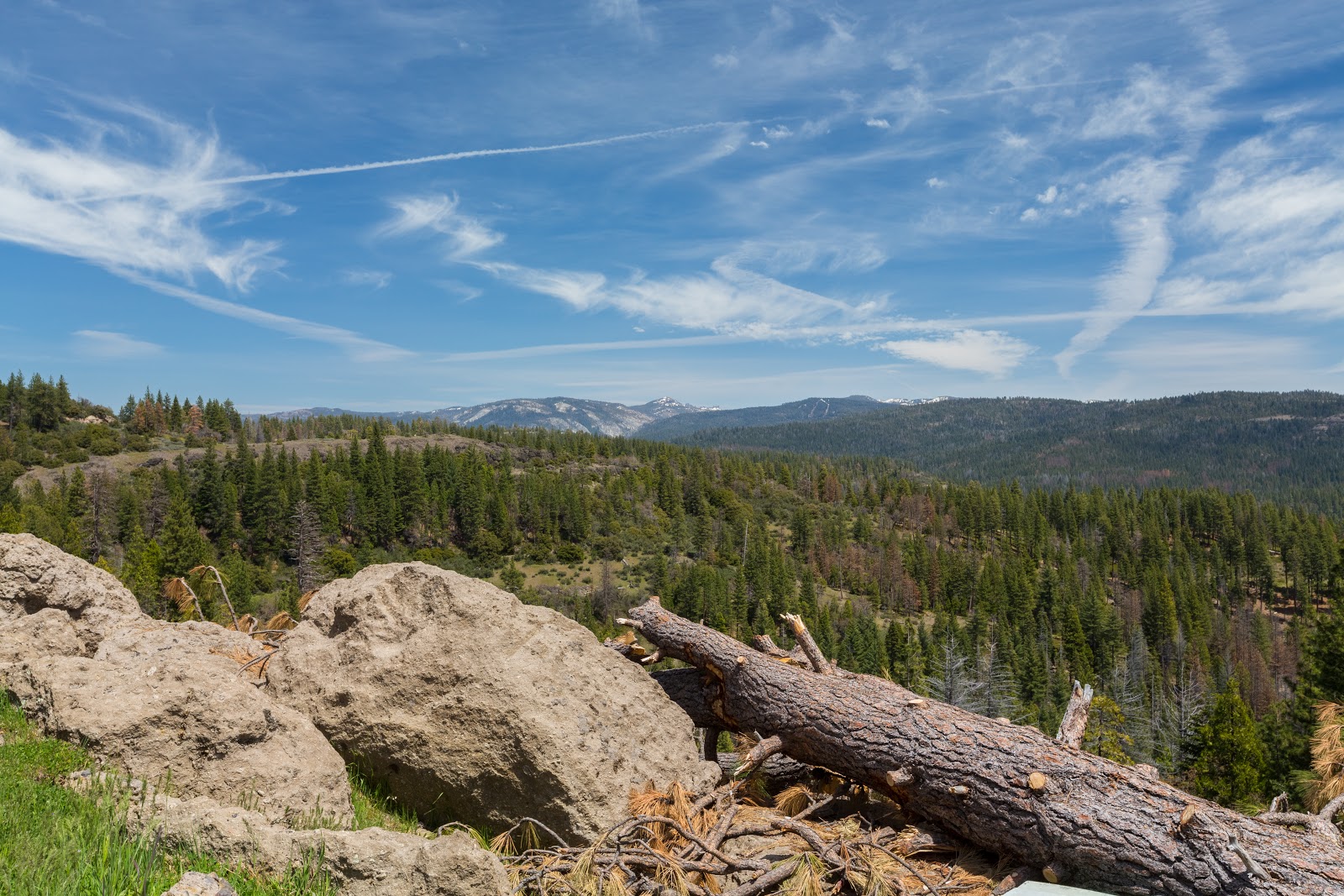 Naturetastic Blog: SR-108 & Donnell Vista (Part 1) - Stanislaus ...