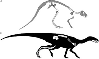 Waxing Paleontological: And Then There Were None