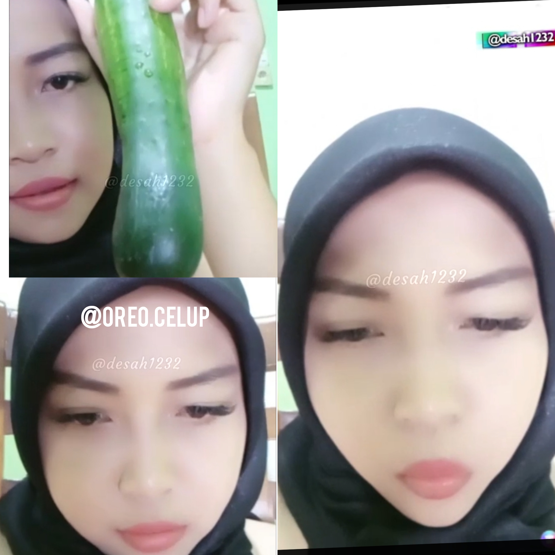 Oreo Celup Hijab Live Colmek Pake Timun