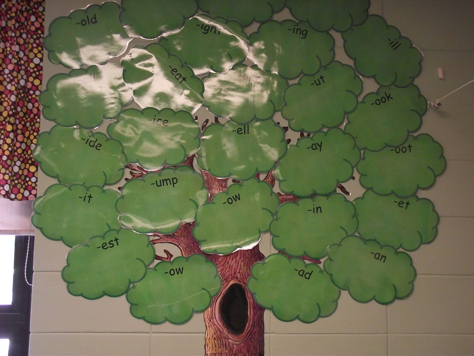 First Grade O.W.L.s: WORD Family Tree