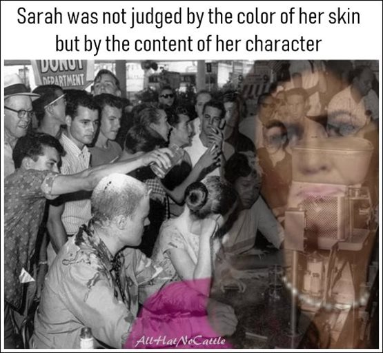 Sarah was not judged by the color of her skin - Democratic Underground ...