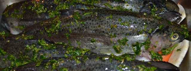 Mihaela's cuisine: Pastrav la cuptor cu sos de vin alb