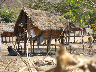 nomadsally: Visit to a Huichol Hamlet near Tepic, Mexico