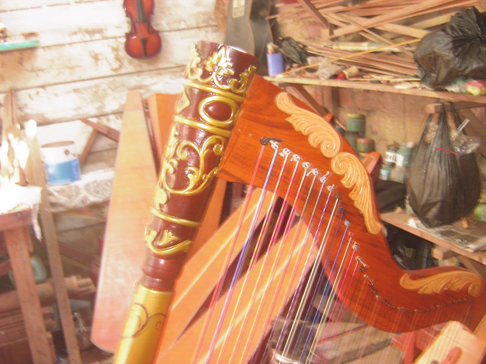 ARPAS PERUANAS: enero 2009