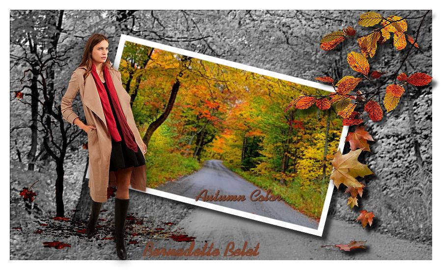 PSP Design: Autumn Colors