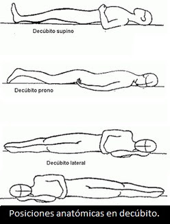 Posición anatómica.