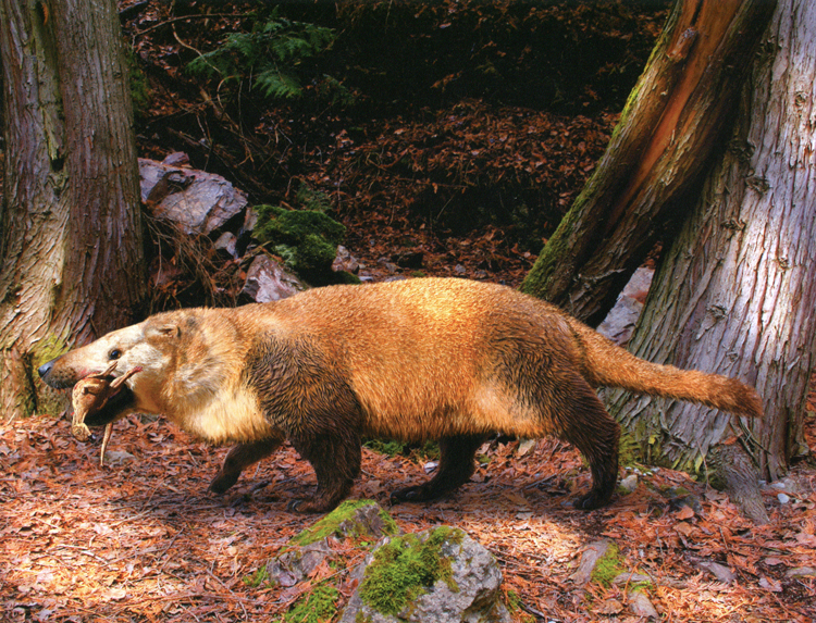 LAND OF THE DEAD: BRINGING THE DEAD BACK TO LIFE