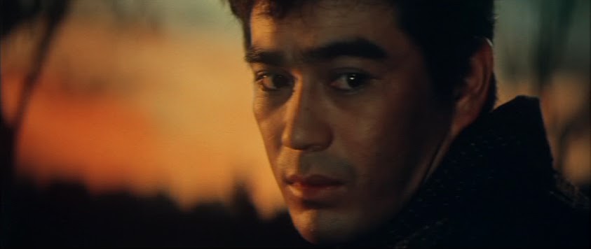Cool Ass Cinema: Memoirs of Japanese Assassins (1969) review