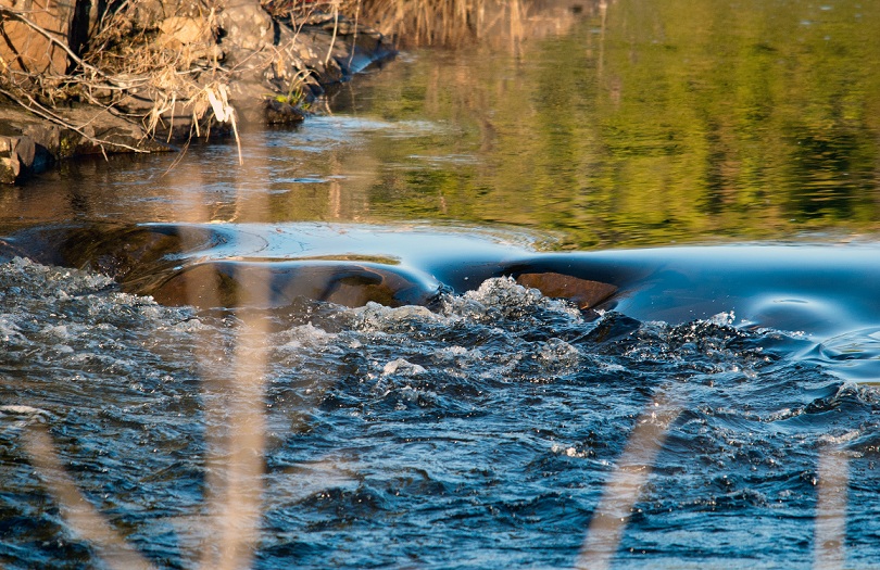 Me, Boomer and The Vermilon River: New and Old Sightings On The West ...