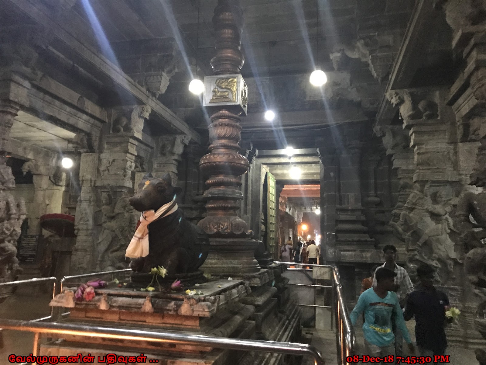 Cuddalore Padaleeswarar Temple - Exploring My Life