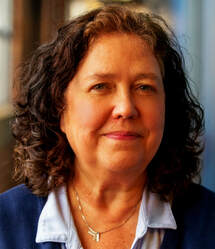 Mystery Novel Spotlights: A Bolt From the Blue and Fire and Rain - Book ...