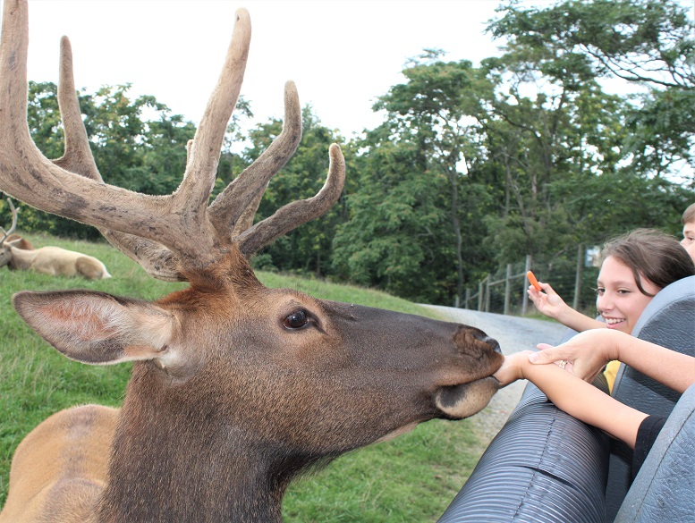 Pennsylvania & Beyond Travel Blog: Family Day Trip to Lake Tobias ...