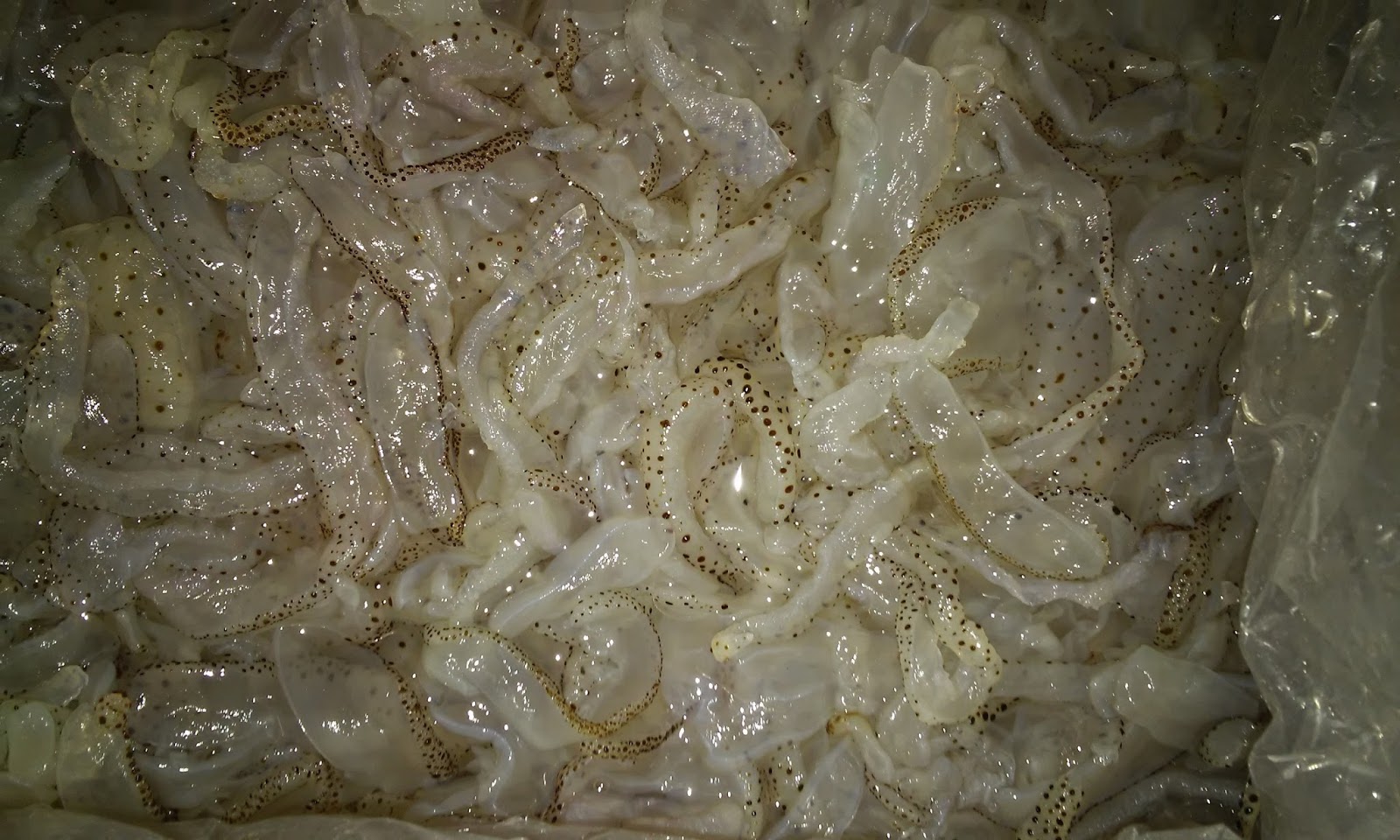 VIETNAM SPECIAL FOOD : SALTED FRESH JELLYFISH