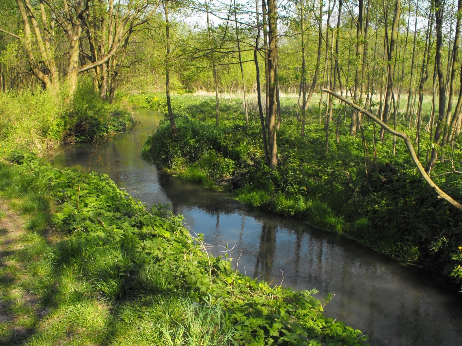 Tom & Matt Trout Travel: Wierna rzeka.
