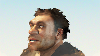 ATOR: Facial reconstruction of a Neanderthal