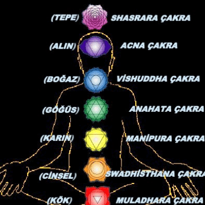 Hint Astroloji Vedıc Astroloji : çakralar