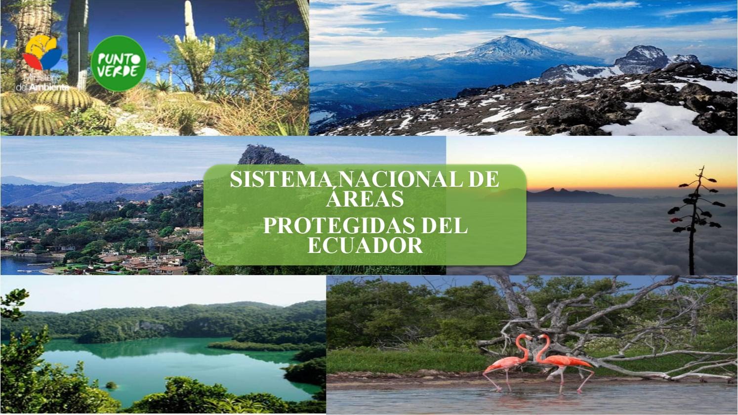 Áreas protegidas del Ecuador : ÁREAS PROTEGIDAS DEL ECUADOR Áreas protegidas del Ecuador : ÁREAS PROTEGIDAS DEL ECUADOR