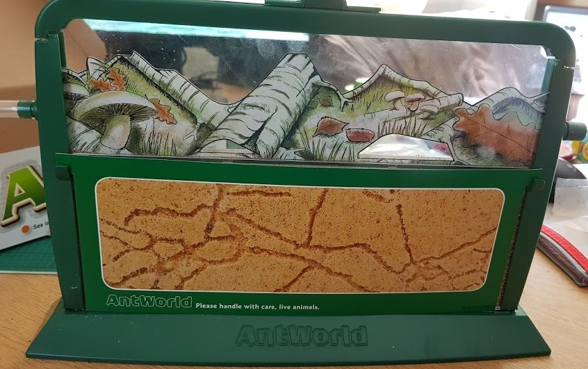 The Brick Castle: Ant World from Interplay (age 5+) - The review that ...