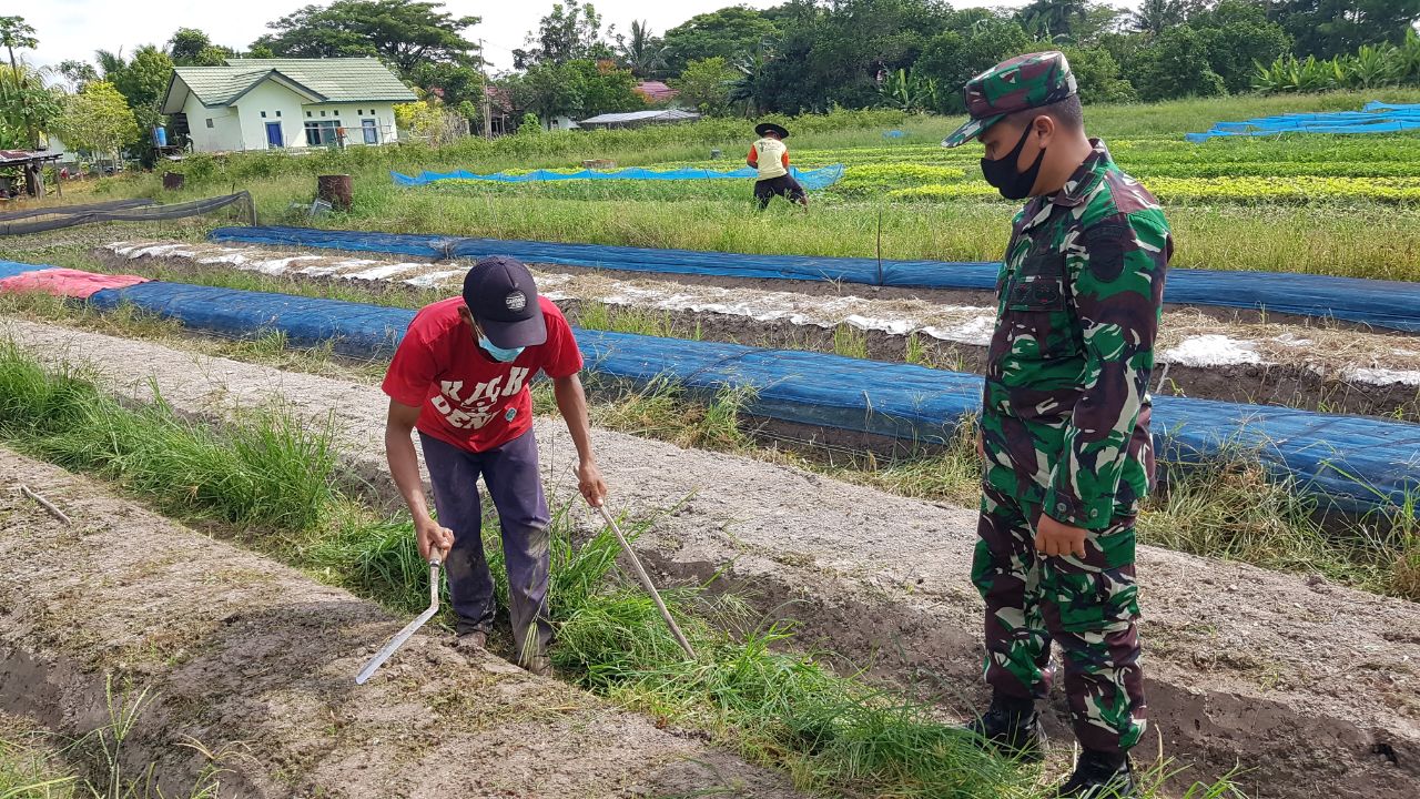 Brigif 19/Kh Perhatikan Kesejahteraan Masyarakat Petani Binaan - Kapuas ...