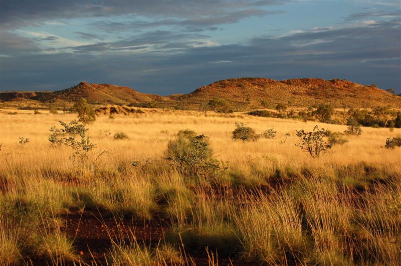 WA Zoologist: Images of the Pilbara