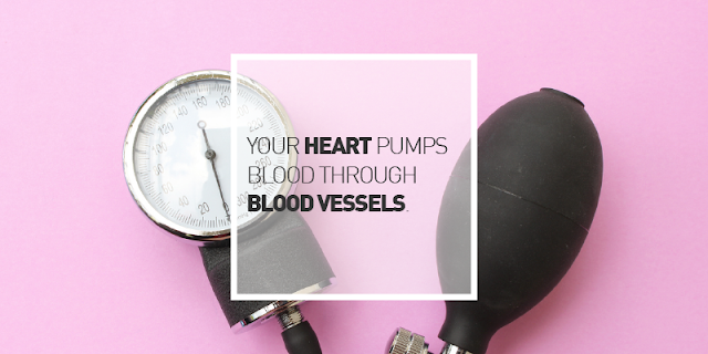 Blood Circulation and the Skin Part 1: How Increased Blood Circulation ...