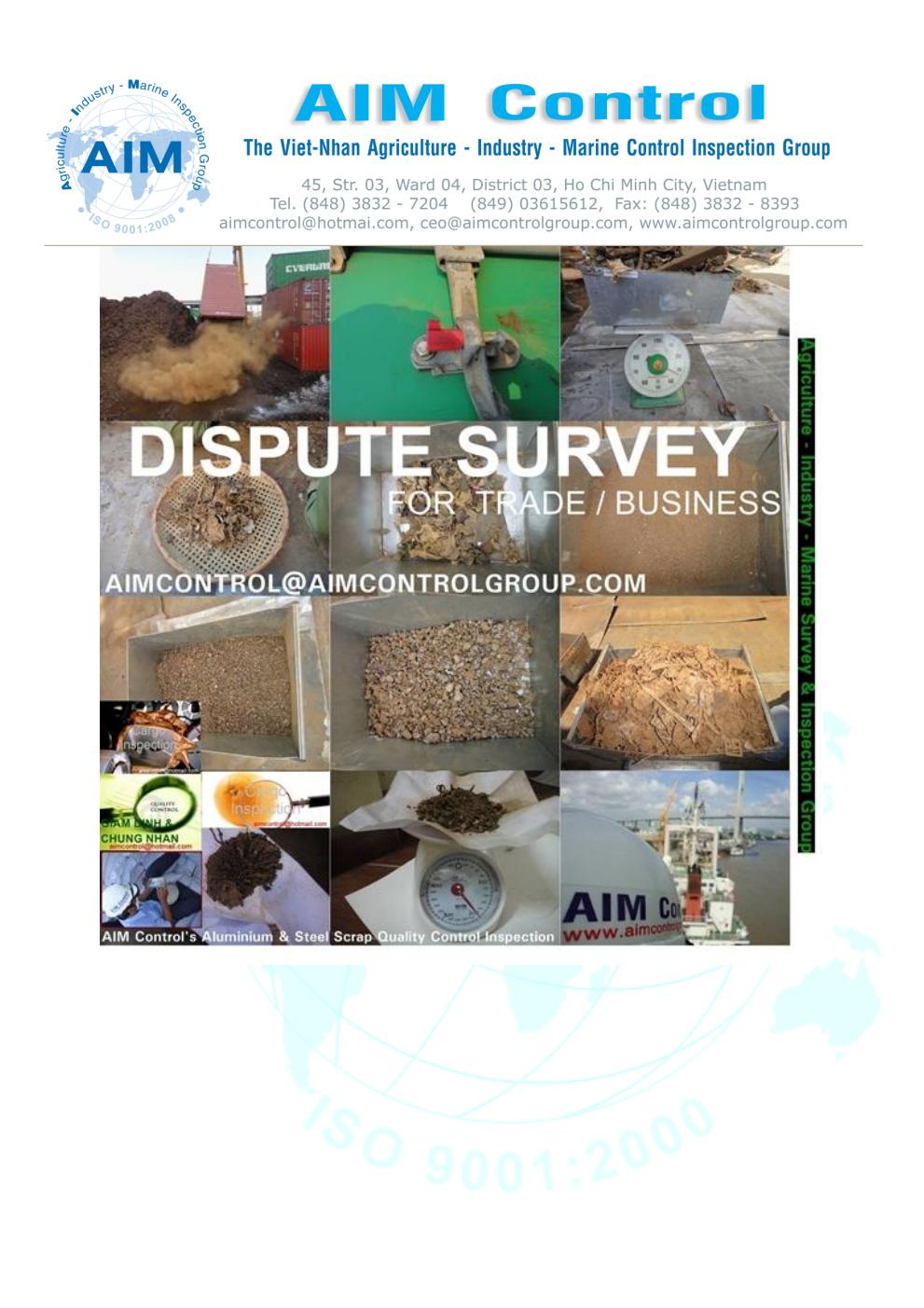 DAMAGE SURVEY: DAMAGE SURVEY