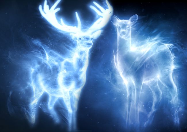 Patronus Test : Pottermore Patronus Pottermore Patronus Quiz Pottermore ...