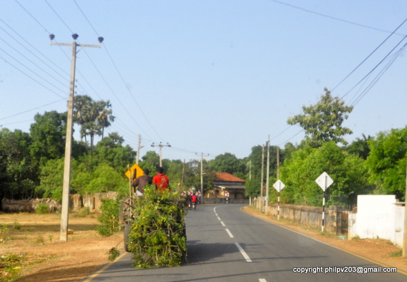 Images of Sri Lanka on blogspot.com: Manipay to Jaffna, Sri Lanka.