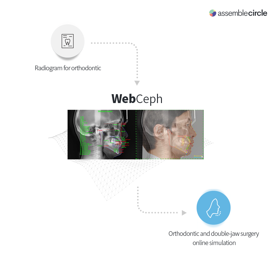 WebCeph, Dreaming of a global healthcare platform