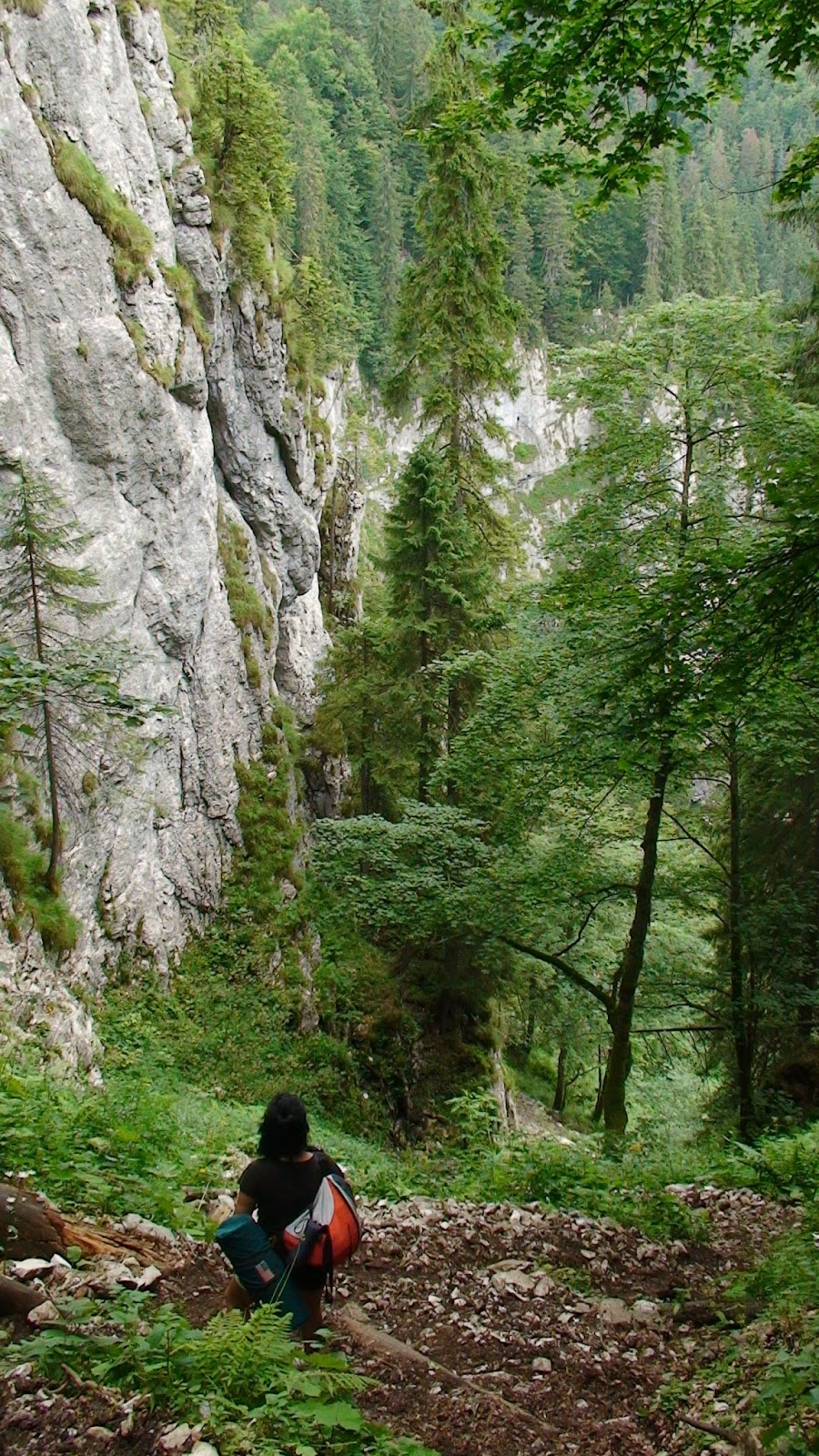 TUDOR PHOTO BLOG: Pestera Cetatile Radesei - Padis,Muntii Apuseni ...