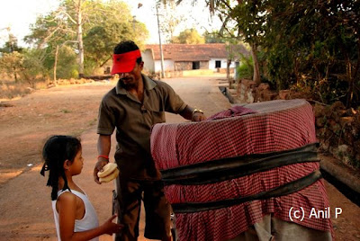Windy Skies: A Goan Landscape in Salcette