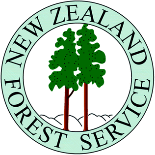 Tramping in the New Zealand backcountry: NZ Bush Adventures: Track ...