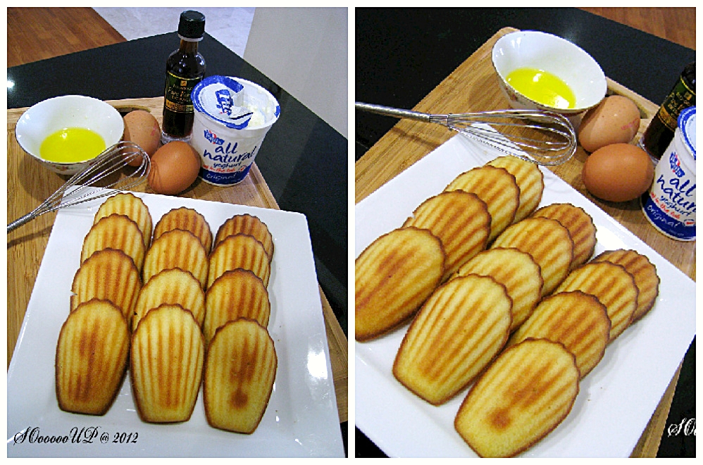 SOoooooUP: HONEY YOGURT MADELEINES