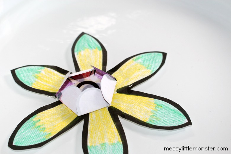 Magic Blooming Paper Flower Craft (& secret message stars!) - Messy ...