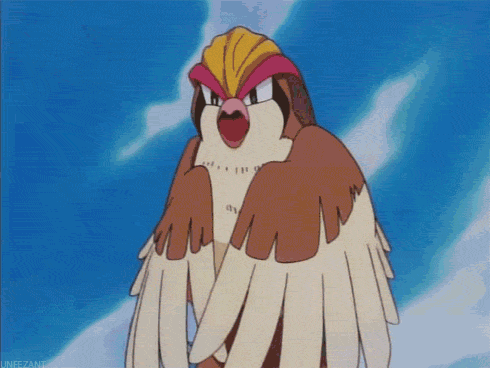 AKI GIFS: Gifs animados Pidgeot (Pokémon)
