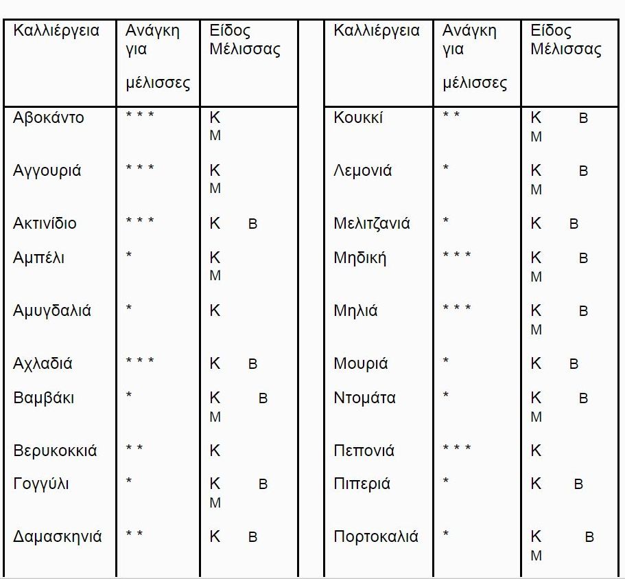 ΕΠΙΚΟΙΝΩΝΙΑ ΤΩΝ ΜΕΛΙΣΣΩΝ - XΡΥΣΟ ΜΕΛΙ ΖΑΚΥΝΘΟΥ