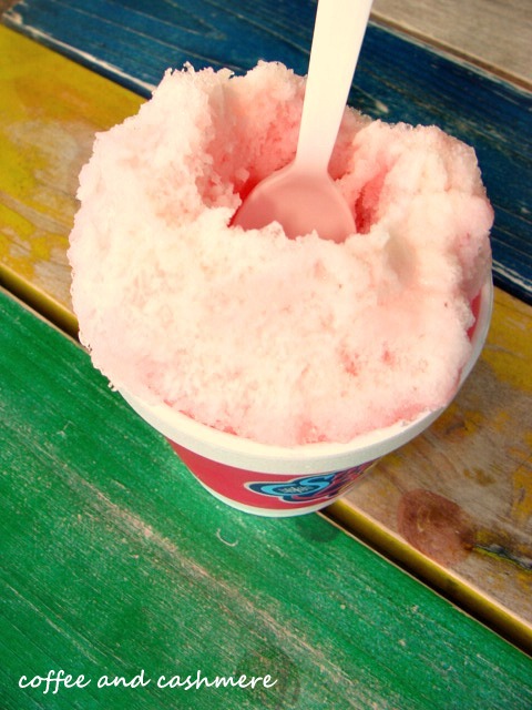 Coffee and Cashmere: Libraries, Snow Cones, and Parks on the Reg