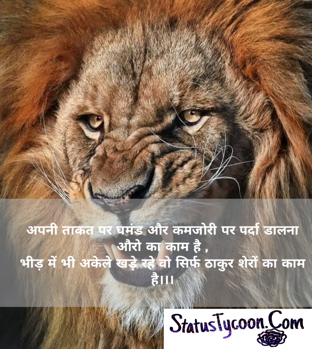 Royal Status - New Status 2020 | Statustycoon.com