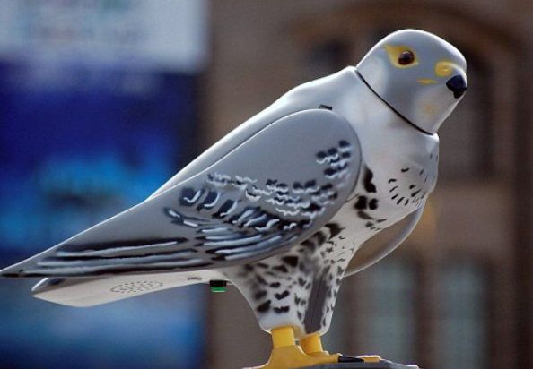 Robot Birds | An alternative of drones