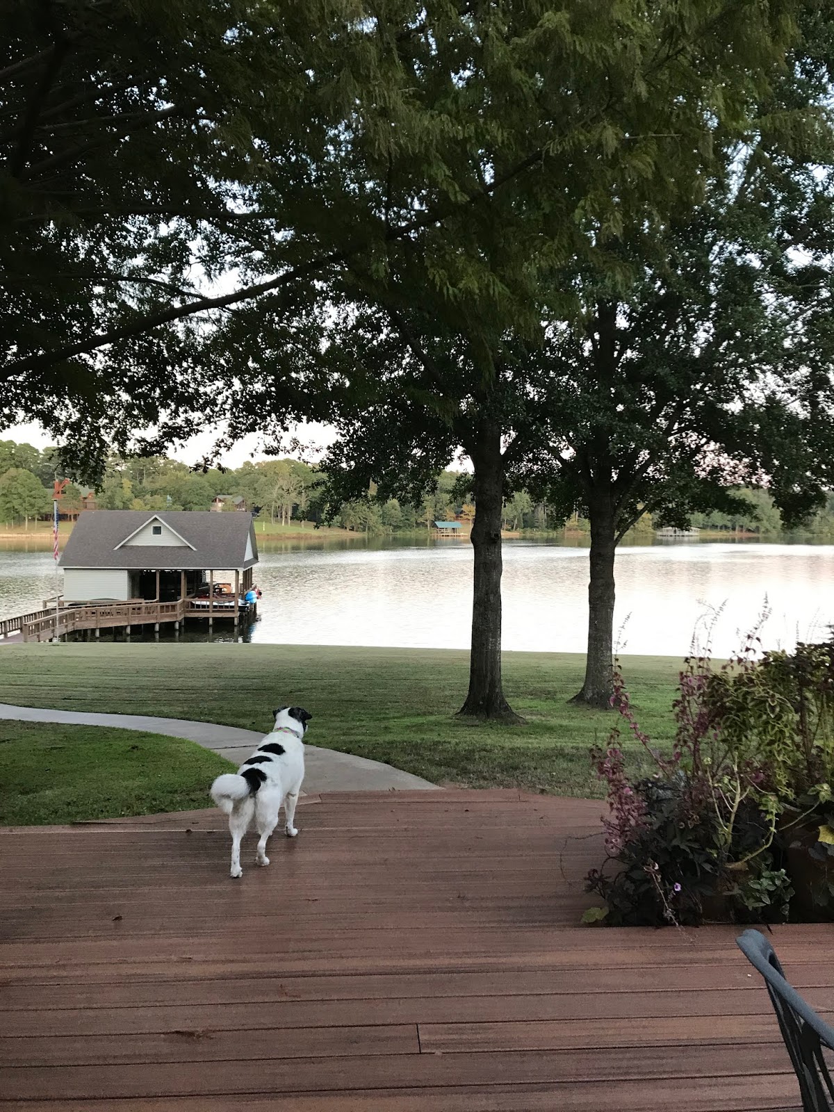 Let's Add Sprinkles: Fishing Trip To East Texas