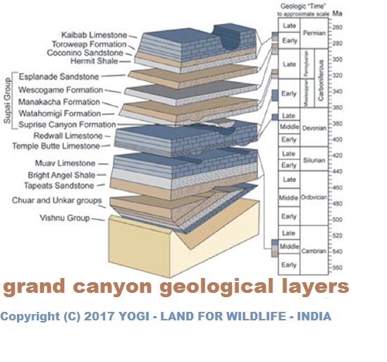 Yogi-Land for Wildlife (Nature and Wildlife Conservation): The ...