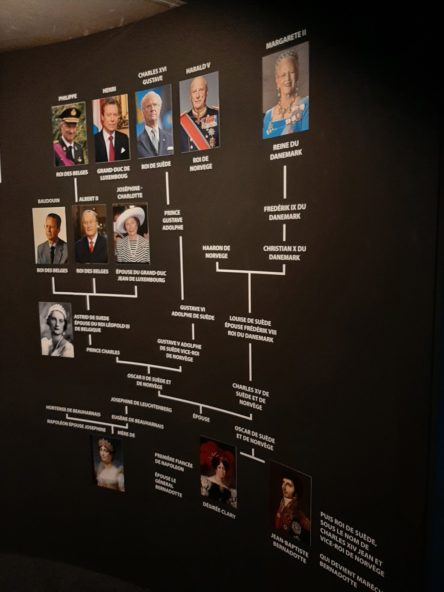 Napoleon Bonapartes Family