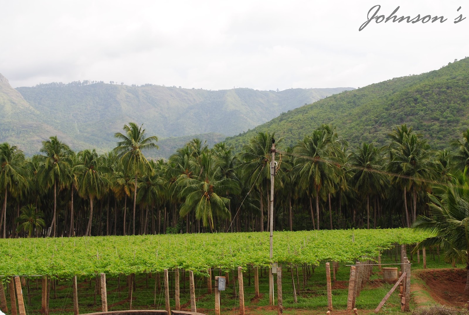 Johnson's: Suruli Falls