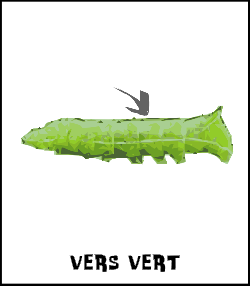 Plumivore invite auteurs et illustrateurs