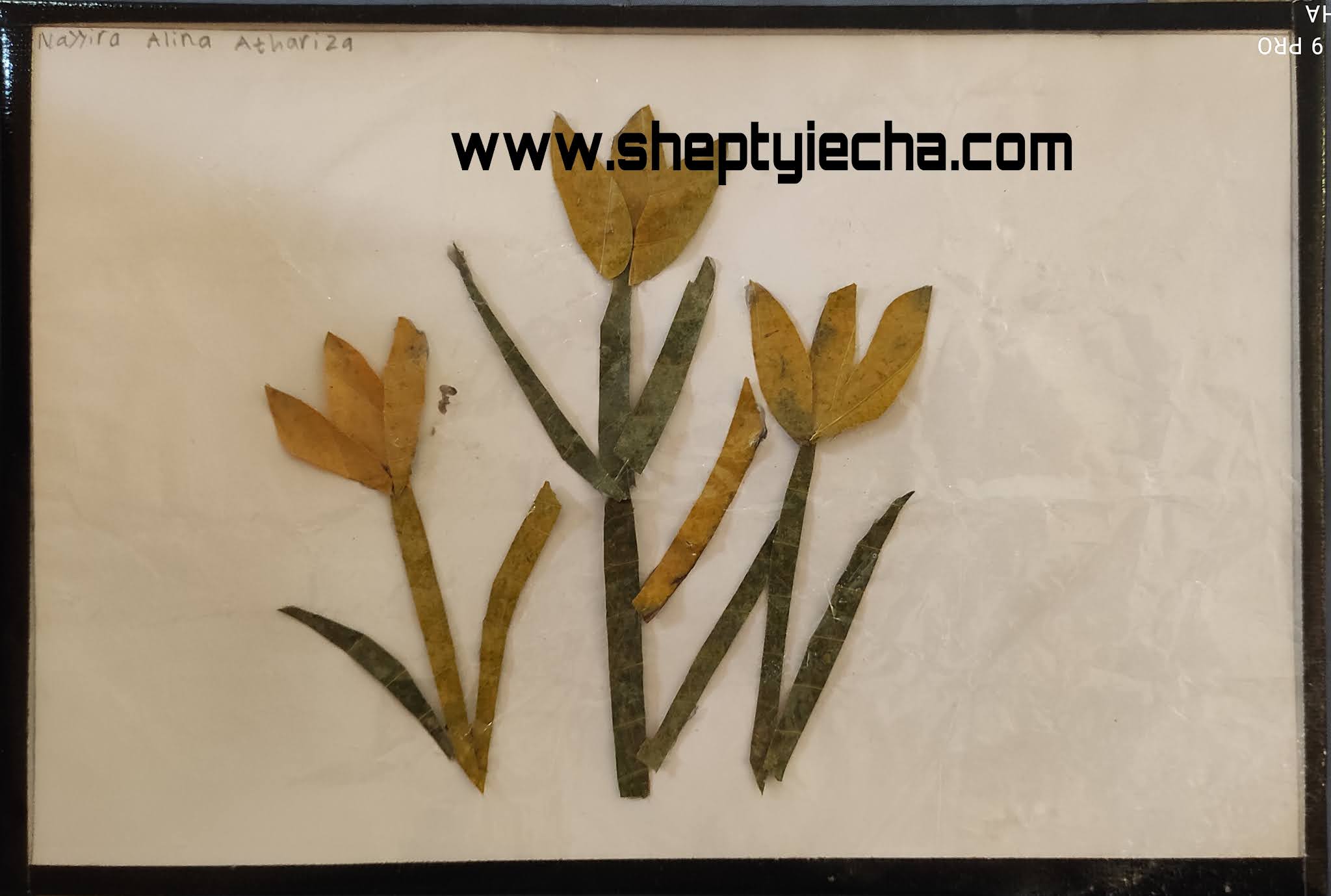 10 KREASI KOLASE TUMBUHAN (BUNGA) DARI DAUN KERING UNTUK ANAK SD ...