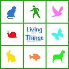 Primary Colours: Living things
