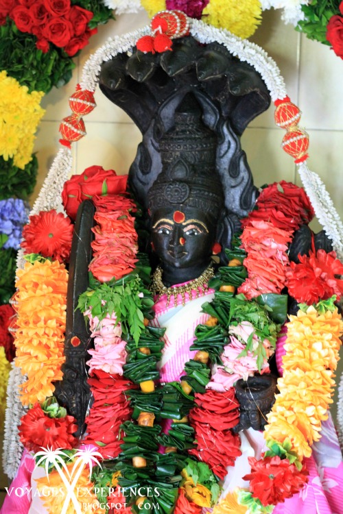 Voyages et Expériences : CANJEE & KATTI POOSAI en l'honneur de la ...