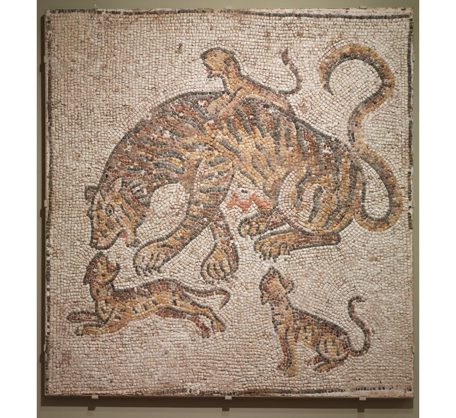 Roman Times: Tigers and Roman bestial entertainment