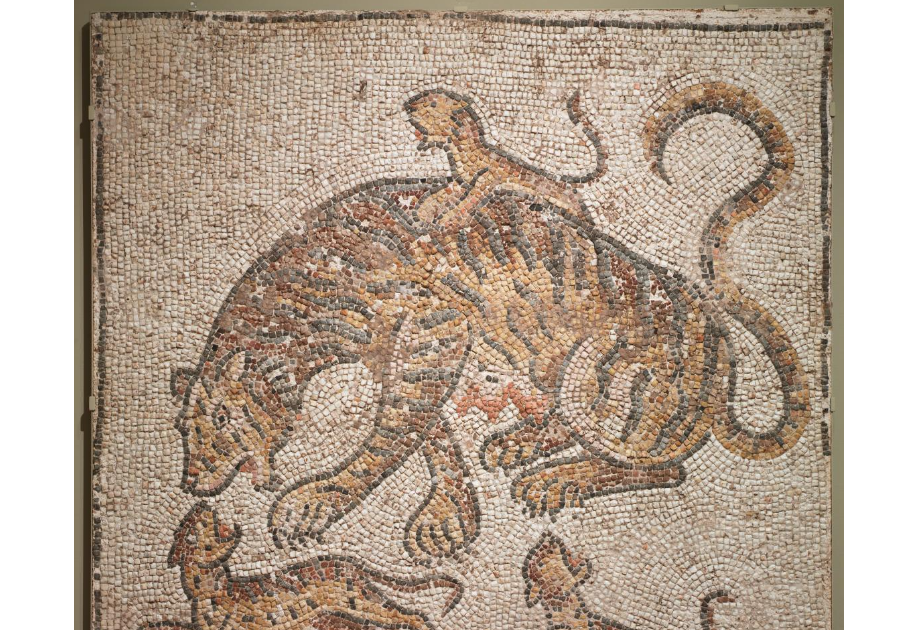 Roman Times: Tigers and Roman bestial entertainment